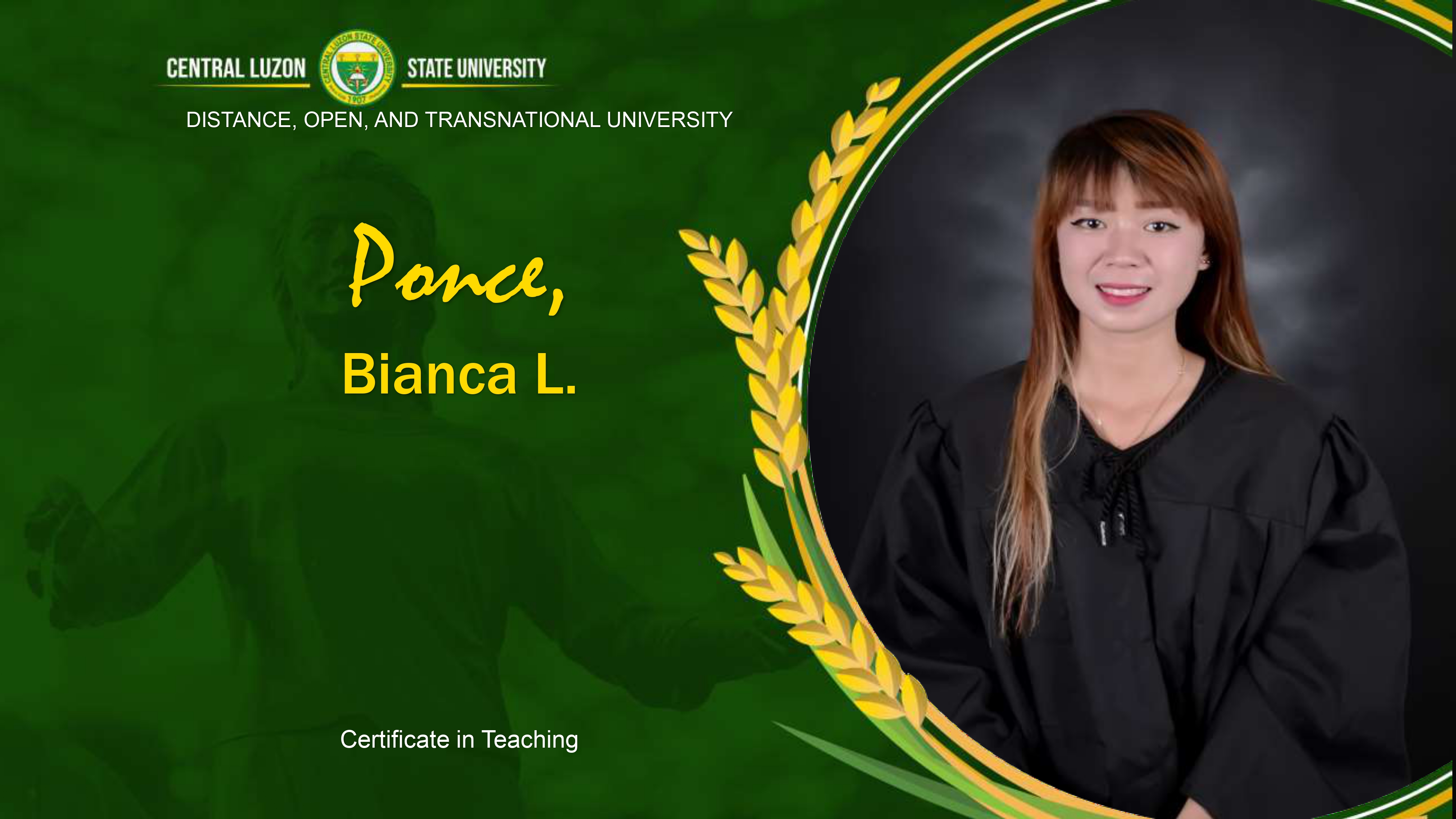 CLSU-Distance Open and Transnational University - News